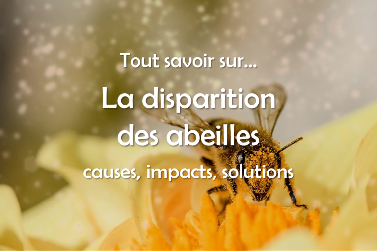 Disparition des Abeilles : un désastre pour l’Humanité ? - Oser Vert