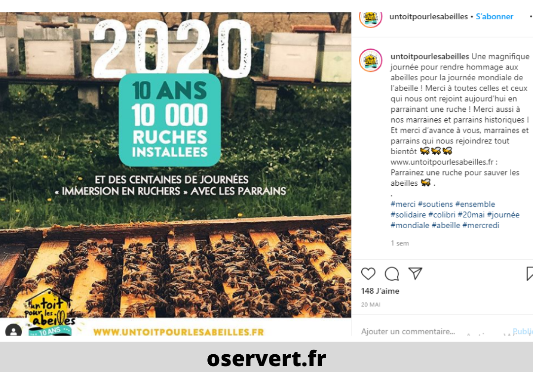 Disparition des Abeilles : un désastre pour l’Humanité ? - Oser Vert