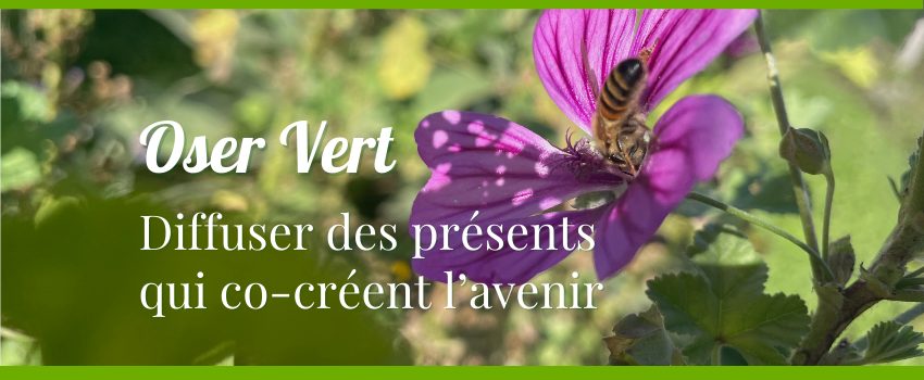 Mon témoignage et guide pour voyager vers les écolieux - sur la ...